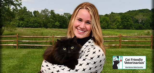 AMY BRULO, DVM - Kingsbrook Animal Hospital